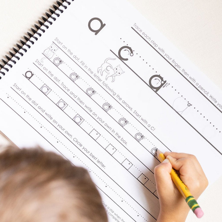 Handwriting Homeschool (Book 1/3) | Dash Into Handwriting | Dash Into ...